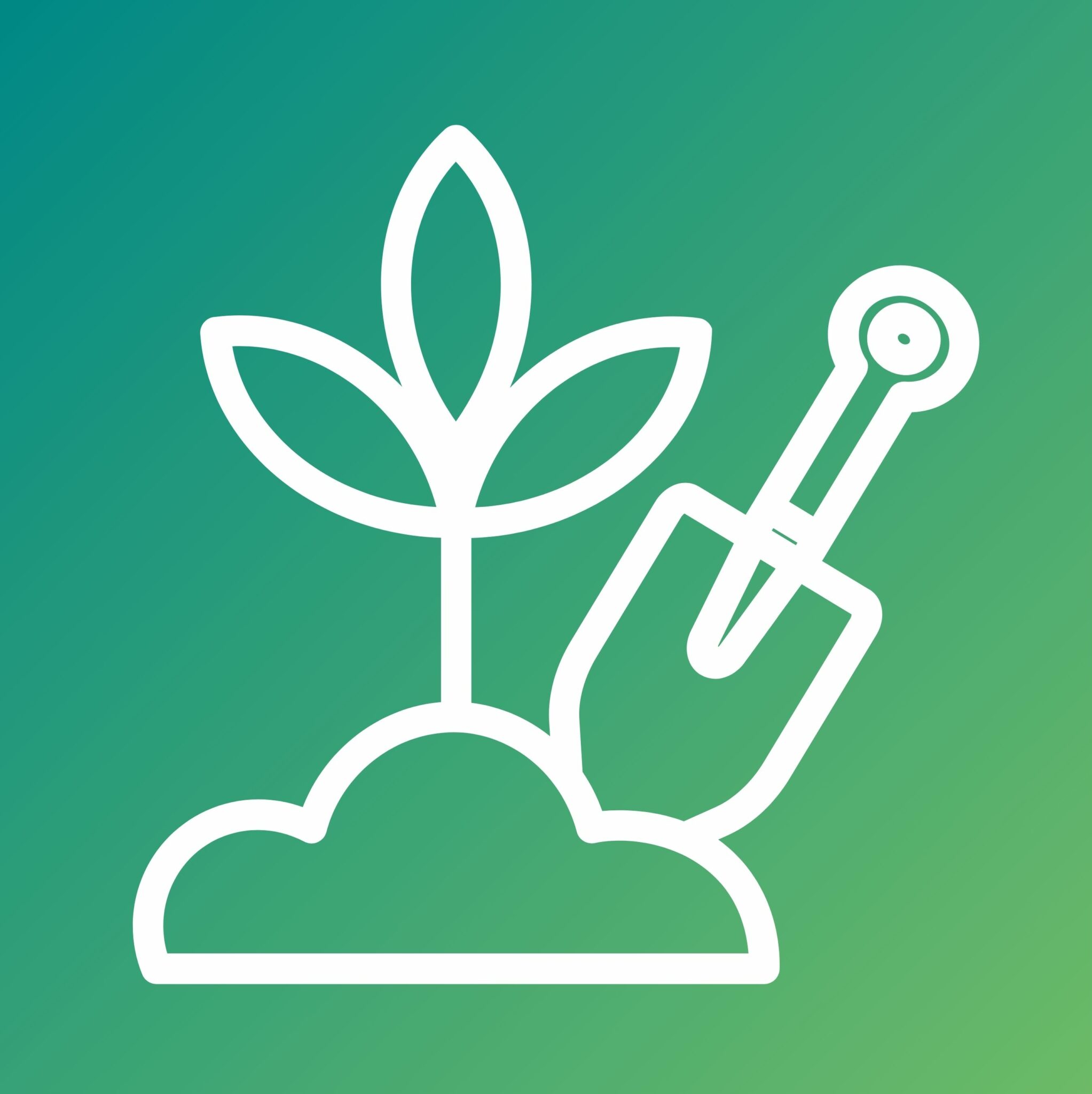 Bringing nature back into urban life for healthier, happier communities ...