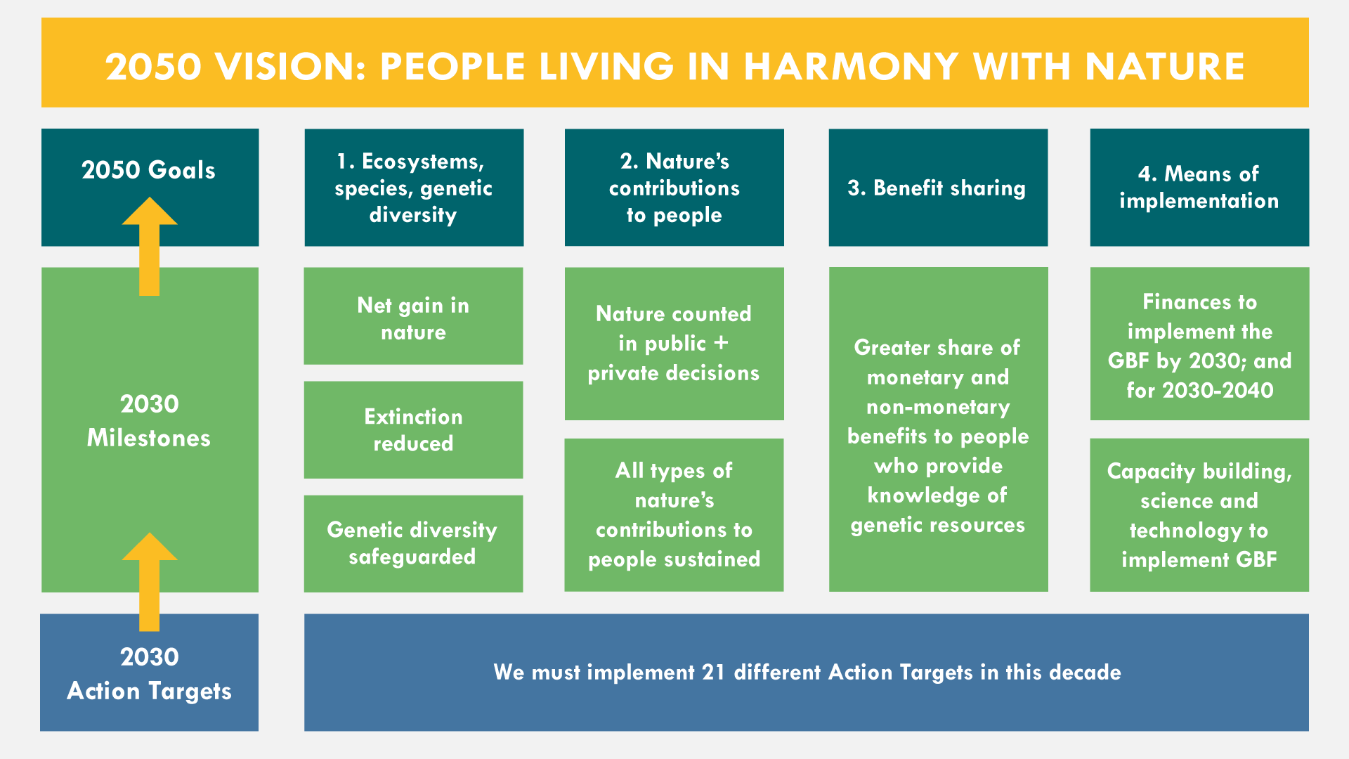 How cities contribute to global nature goals and national targets ...
