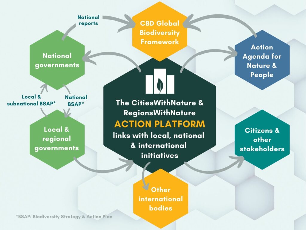 How does the Action Platform work?