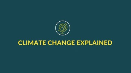 Nature-based solutions - CitiesWithNature