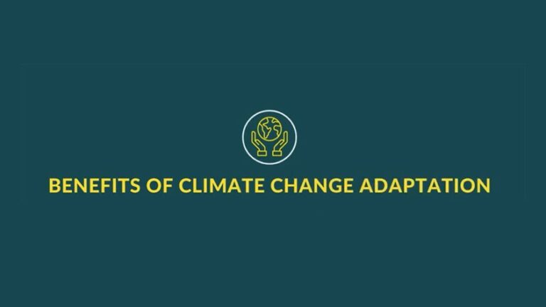 Nature-based solutions - CitiesWithNature