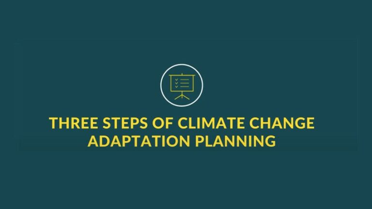 Nature-based solutions - CitiesWithNature