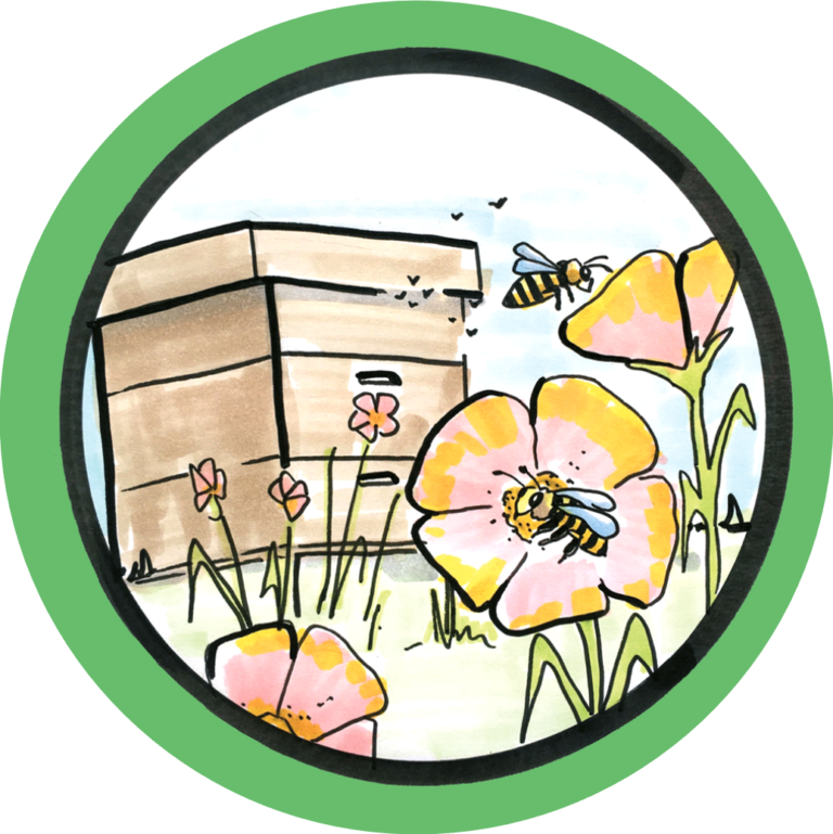 Crop pollination and seed dispersal