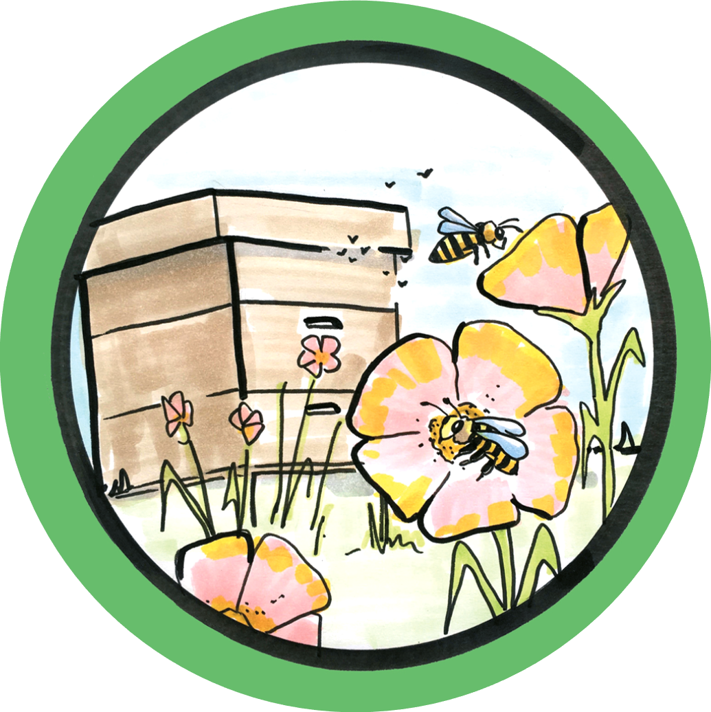 Crop pollination and seed dispersal