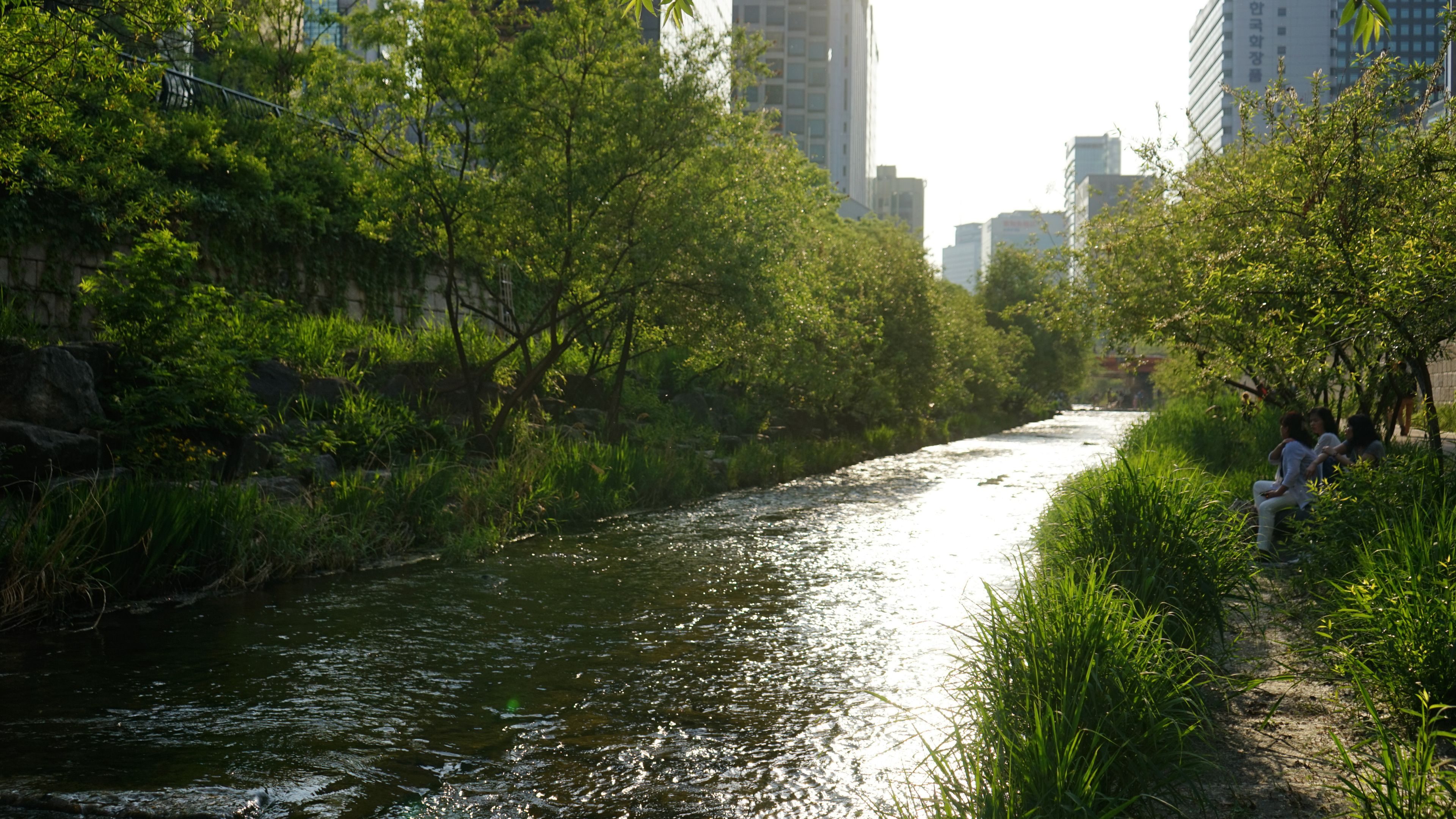 Catchment management in your city