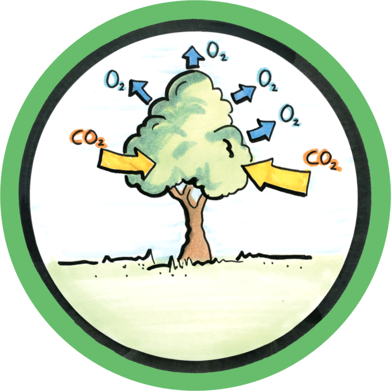 Regulating carbon capture and storage
