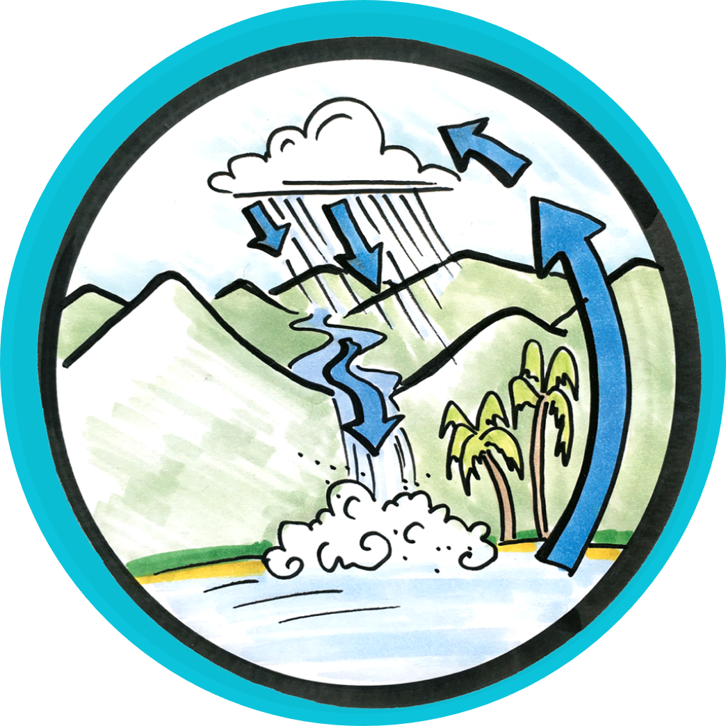Supporting services - CitiesWithNature