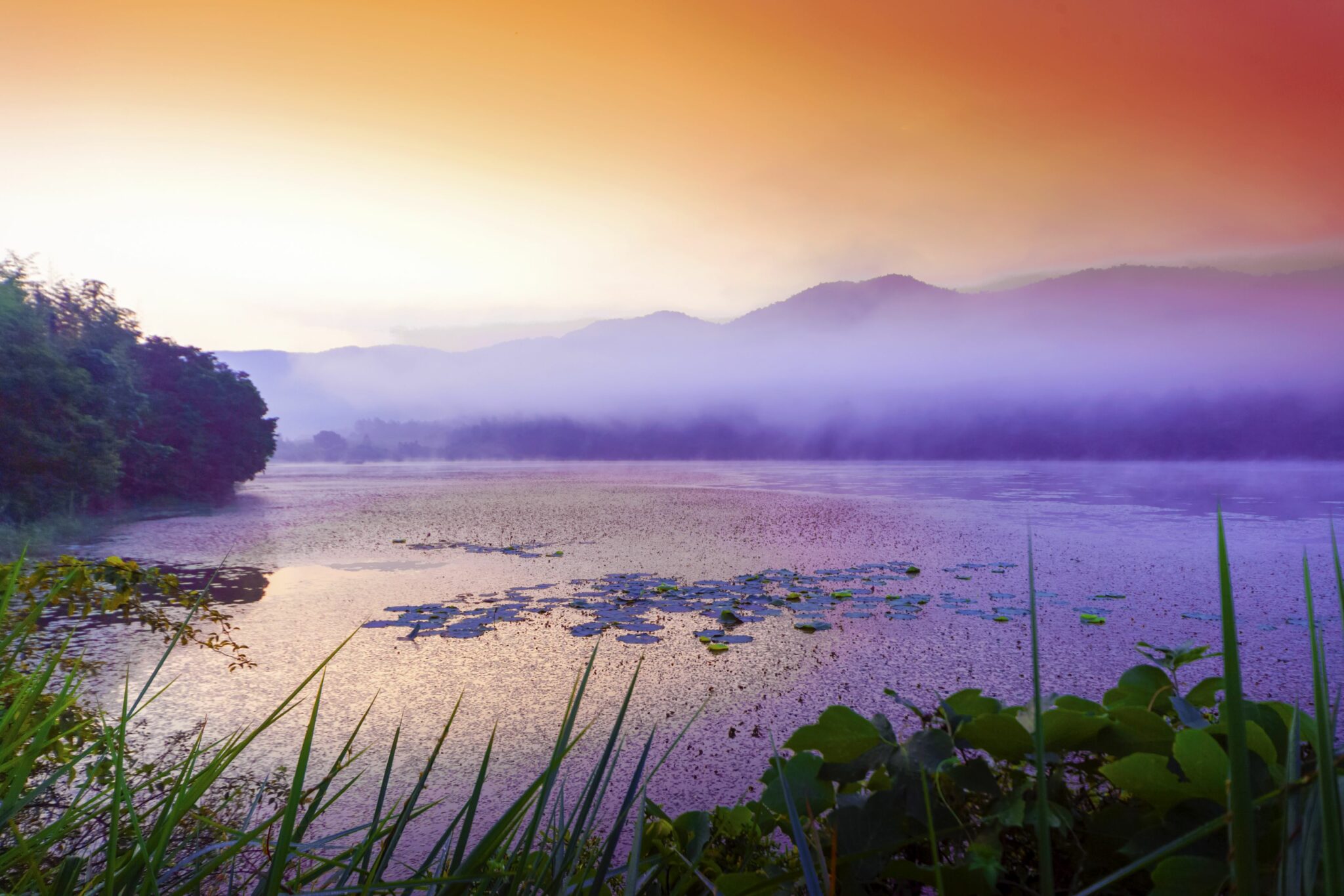 Gochang (Republic of Korea)