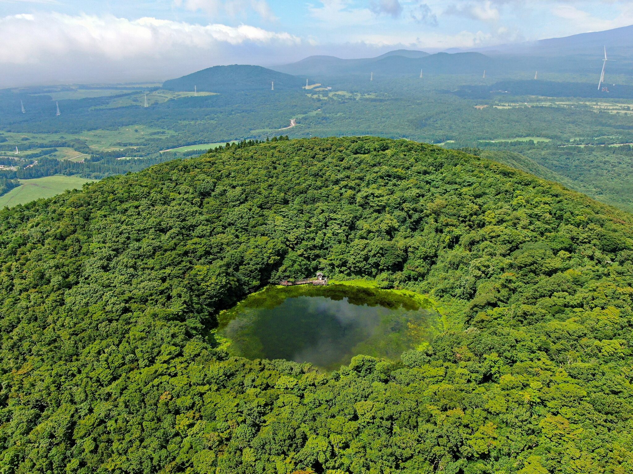 The Mulyeongari Oreum Wetland in Seogwipo City is home to 15 endangered ...