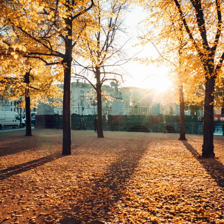 Berlin Urban Nature Pact - CitiesWithNature
