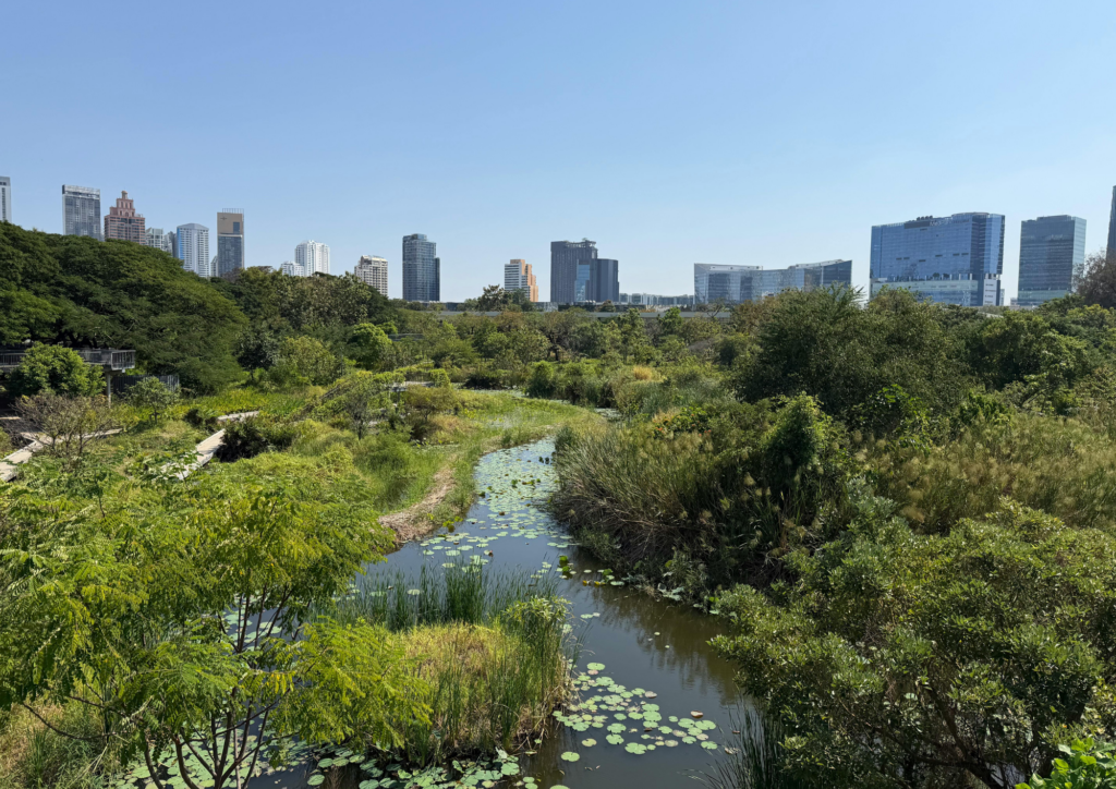 Local knowledge, lasting impact: Cities and traditional practices ...